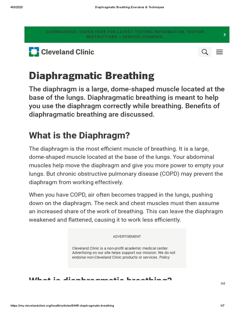 Diaphragmatic Breathing Exercises & Techniques | PDF | Chronic ...
