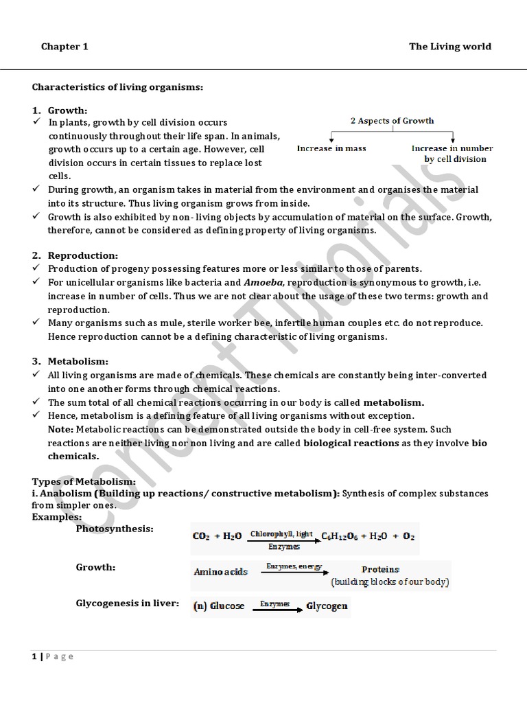 Chapter 1 The Living World | PDF | Taxonomy (Biology) | Genus