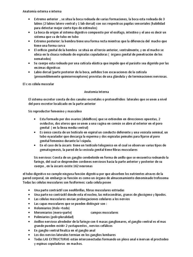 Anatomía Externa e Interna | PDF | Sistema digestivo humano | Sistema ...