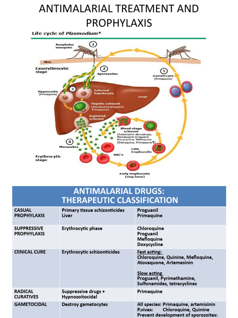 Antimalarial Treatment and Prophylaxis | PDF | Functional Group | Malaria