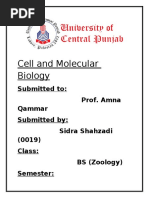 Amoeba Sisters Mutations Recap Guide | PDF | Genetic Code | Point Mutation