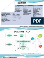 Obstrucción y Estasis Urinaria | PDF | Vejiga urinaria | Urología