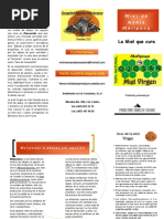 Infografia-¿Como Producen Las Abejas La Miel? | PDF