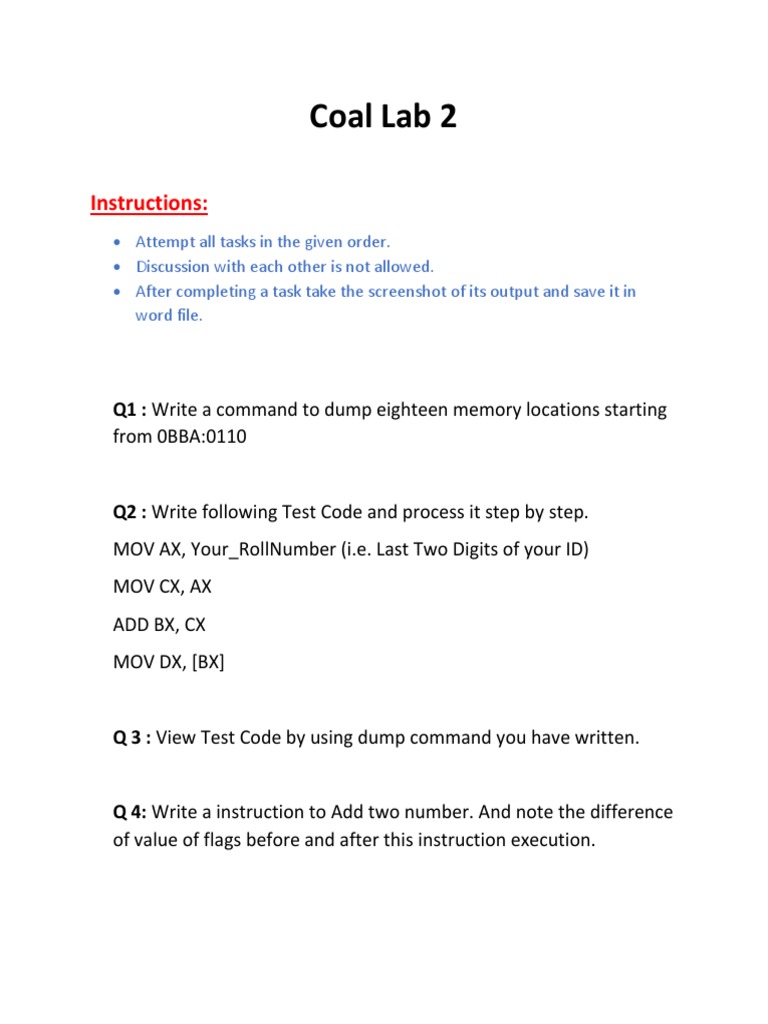 Coal Lab 2: Memory and Flag Tasks | PDF