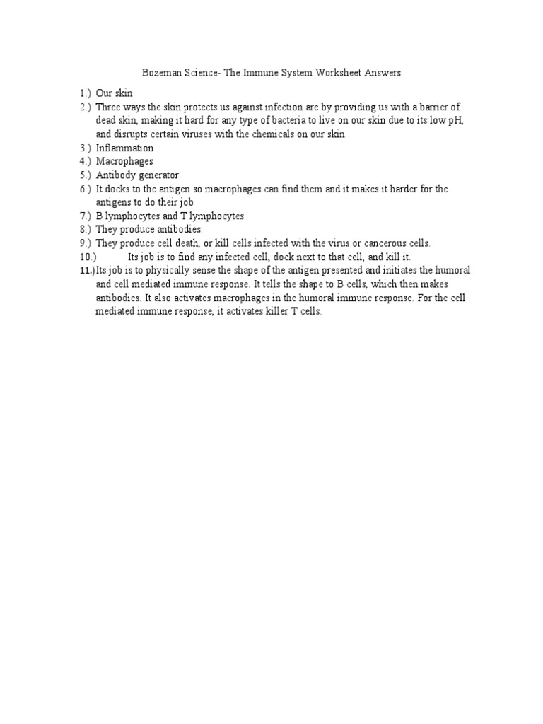 Bozeman The Immune System WRKSHT Answers | PDF