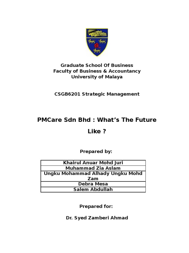 Strategic MGMT Project On PMCare Report | Download Free PDF | Jakarta ...