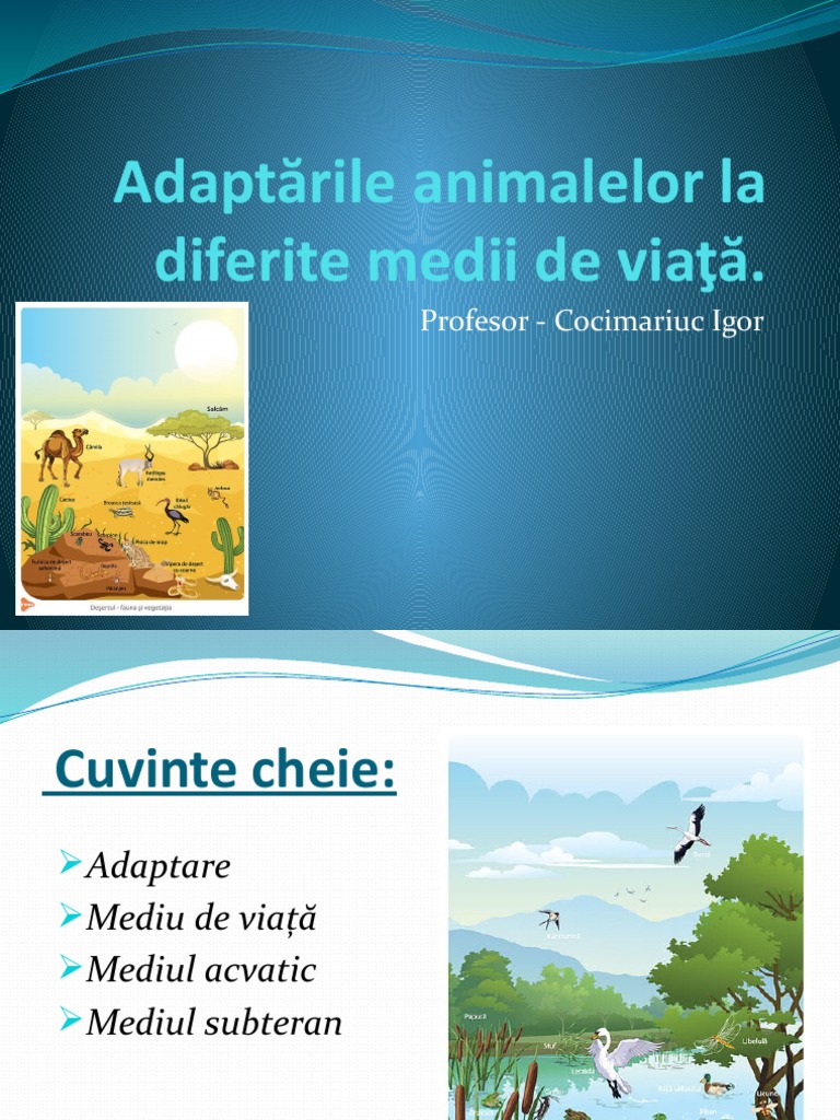 Adaptările Animalelor La Diferite Medii de Viaţă | PDF