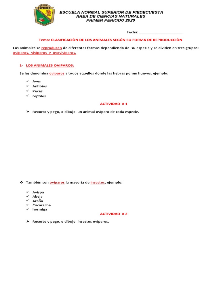 Ficha Clasificacion de Los Animales | PDF | Mamíferos | Fósiles Vivientes