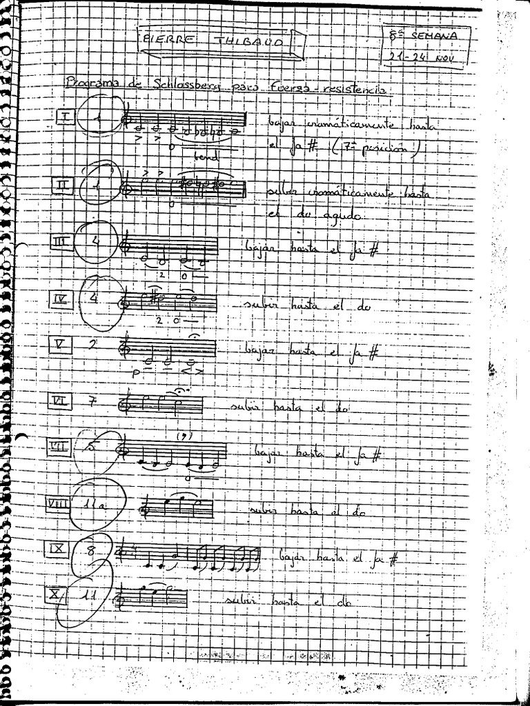 Pierre Thibaud-Trabajo Técnico | PDF