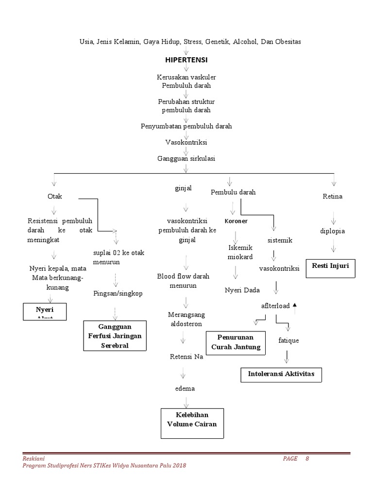 Pathway Hipertensi dan Reskiani Injuri | PDF