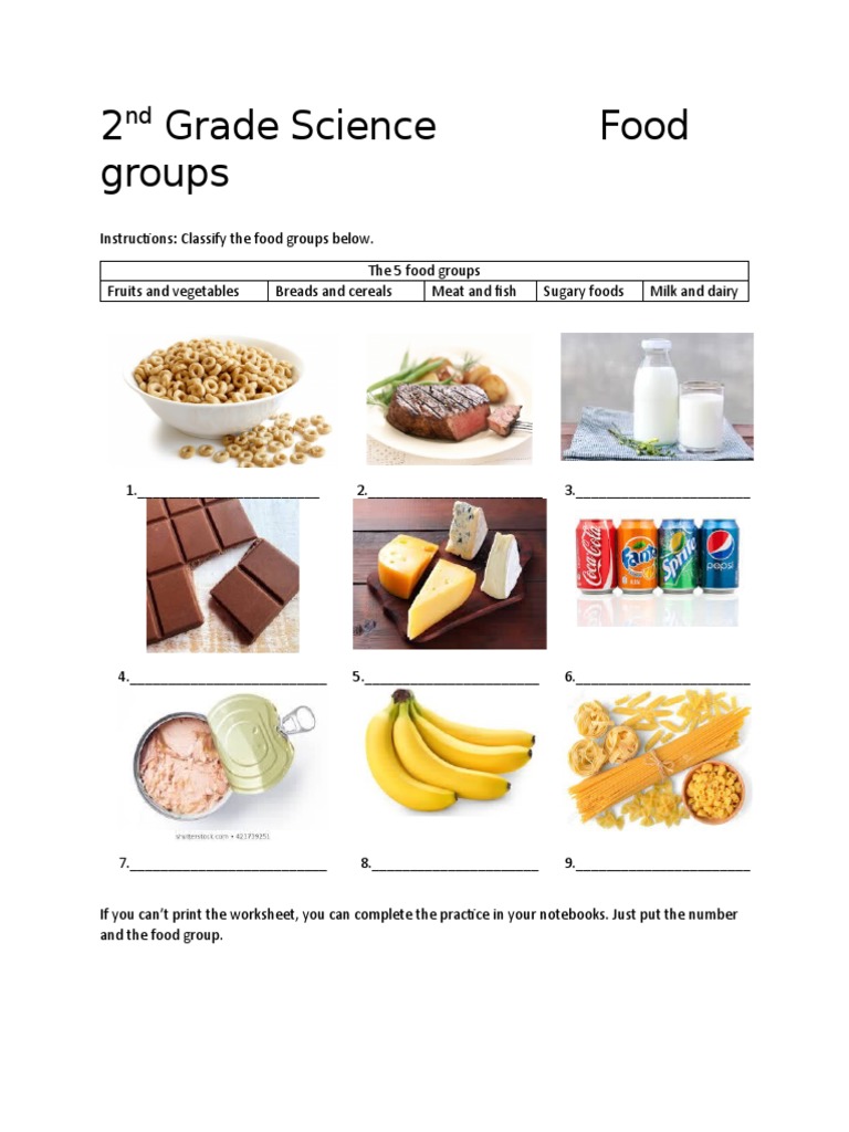 2 Grade Science Food groups