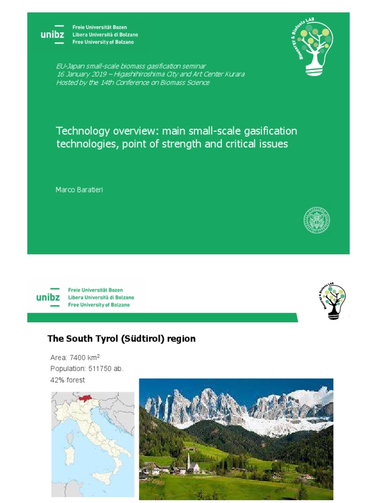 2 Technology Overview - Baratieri PDF | PDF | Gasification | Cogeneration