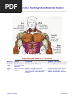 Essential Chest Workout Guide | PDF | Human Anatomy | Musculoskeletal ...