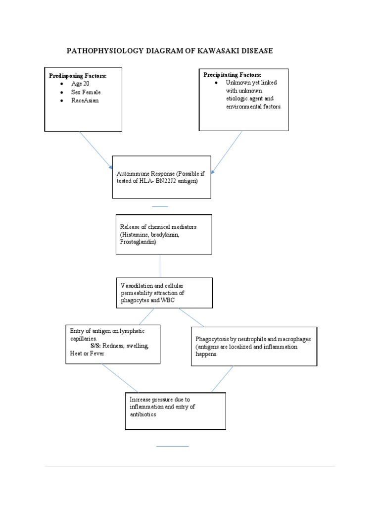 Kawasaki Disease Pathophysiology Diagram | PDF