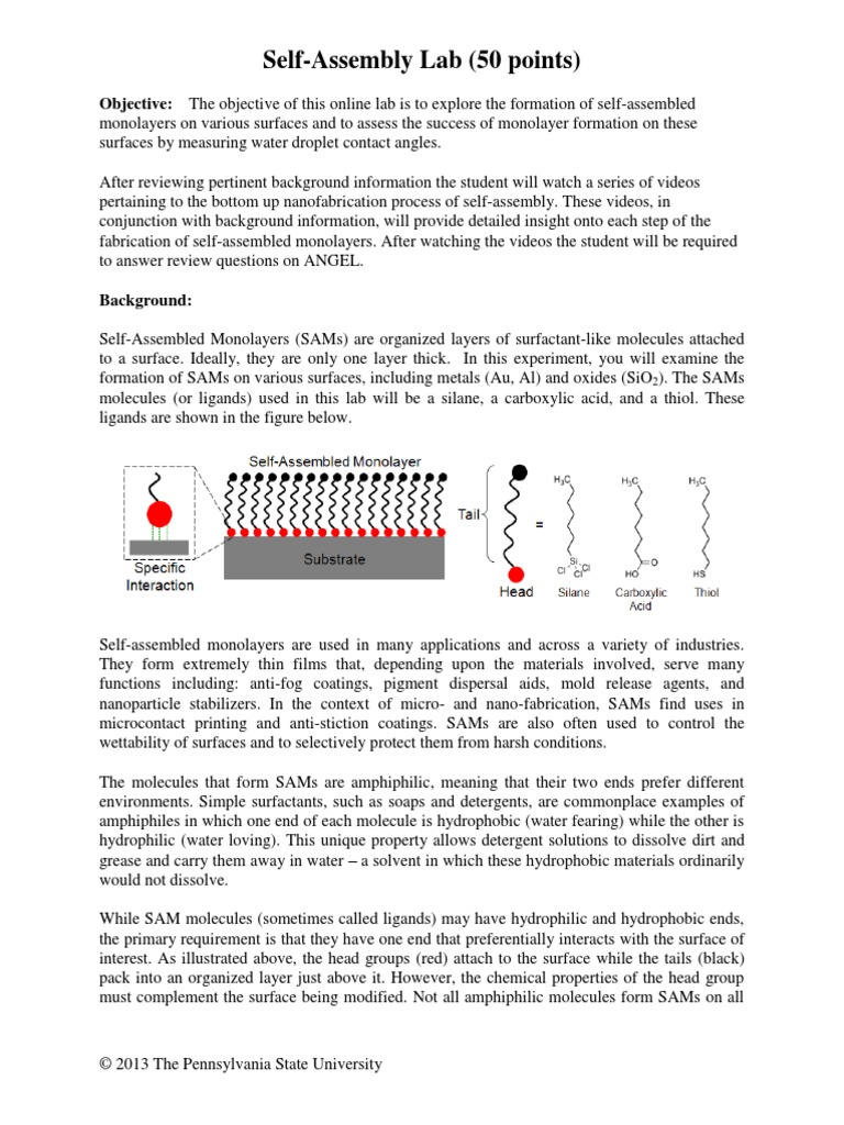 Self Assembly Lab 50 Points Pdf Hydrophobe Chemistry