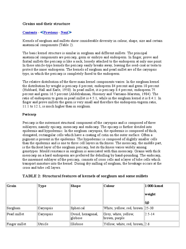 Millet Grain Structure | PDF | Seed | Plants
