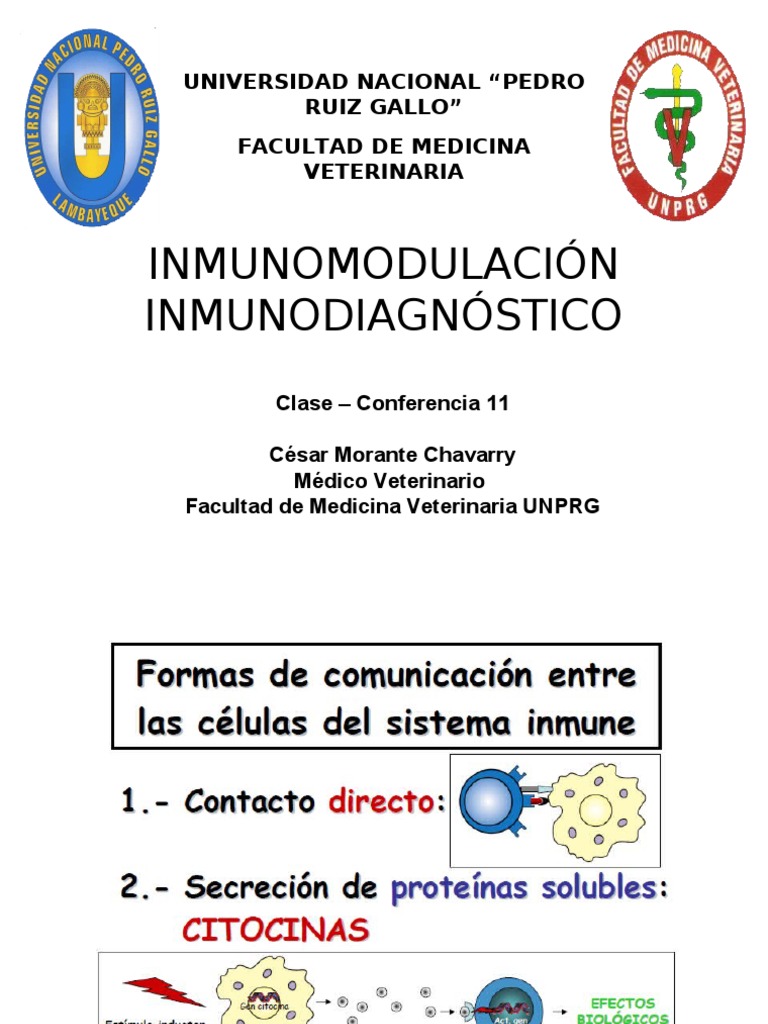 Clase 11 Inmunomodulación - Inmunodiagnóstico 2018-1 | PDF | Citocina ...