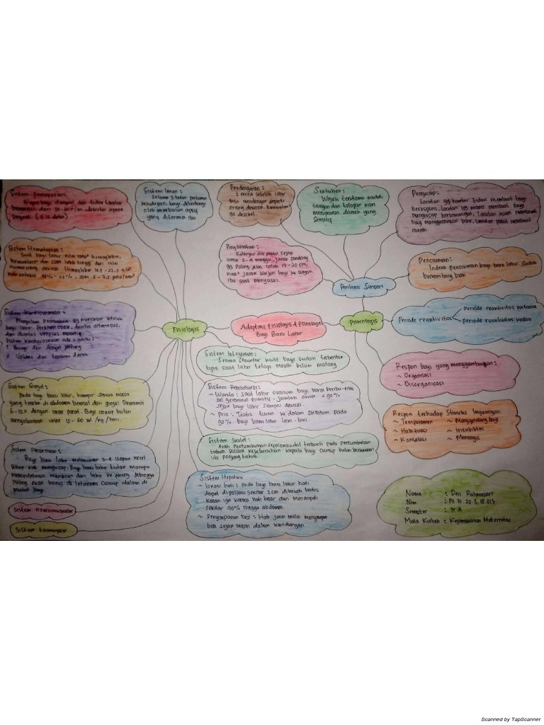 Mindmap Postpartum | PDF