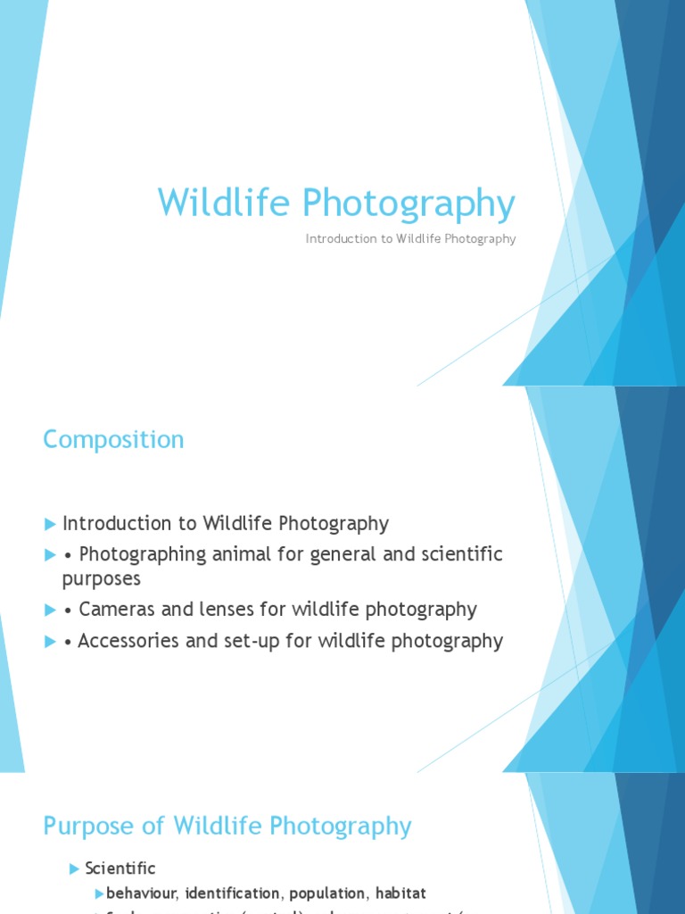 Essential Guide to Wildlife Photography | PDF | Camera | Camera Lens