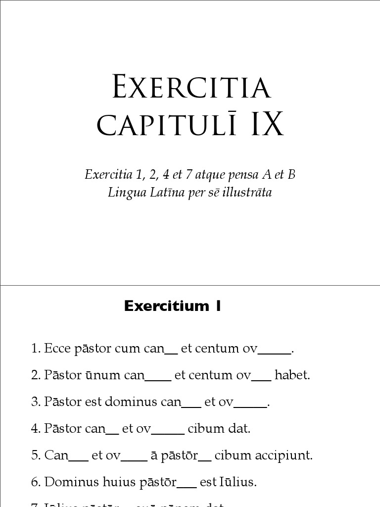 Exercitia Cap Ix LLPSI | PDF | Poetics | Poetic Form