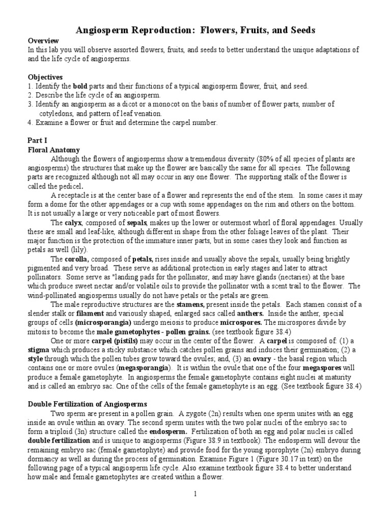 Angiosperm Reproduction: Flowers, Fruits, and Seeds | PDF | Fruit | Seed