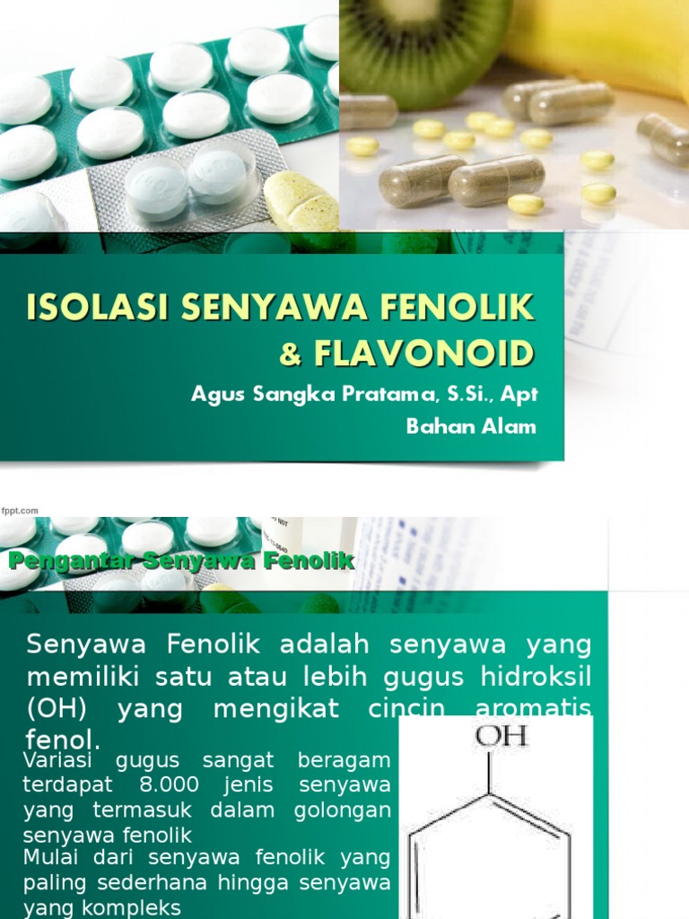 Isolasi Senyawa Fenolik Baru | PDF | Kesehatan Holistik