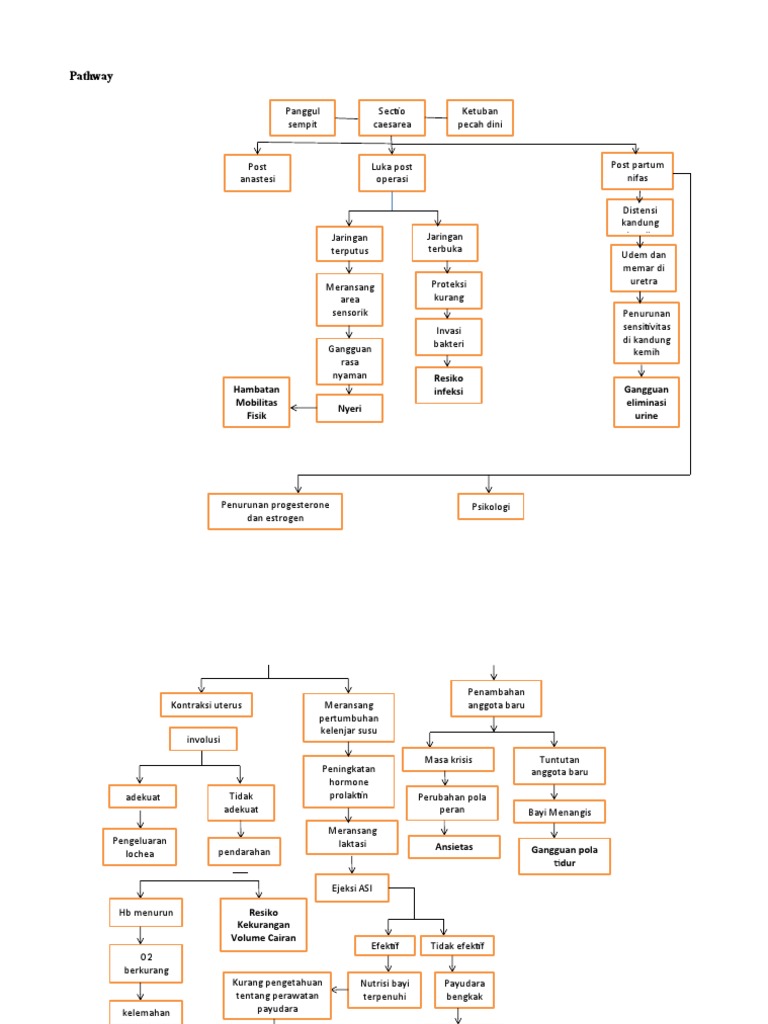Pathway SC Dengan KPD | PDF