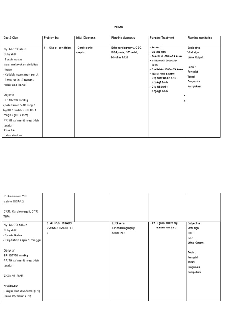POMR: Initial Diagnosis, Planning, Treatment & Monitoring | PDF ...