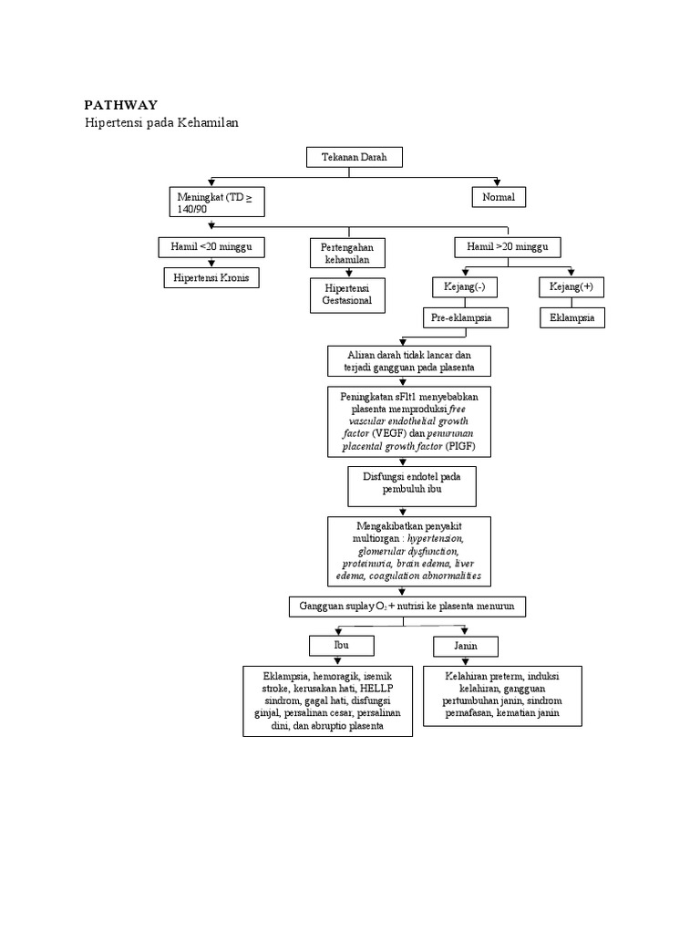 Pathway Hipertensi pada Kehamilan | PDF