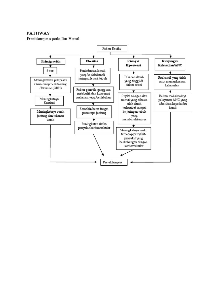 Pathway Preeklampsia Pada Ibu Hamil | PDF