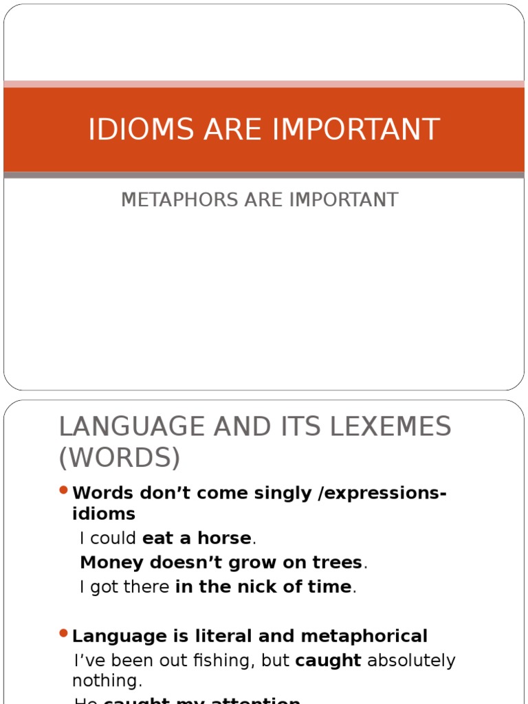Unit 7 Idioms Are Important | Download Free PDF | Metaphor | Idiom