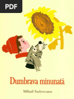 Model Scutire de Mana | PDF