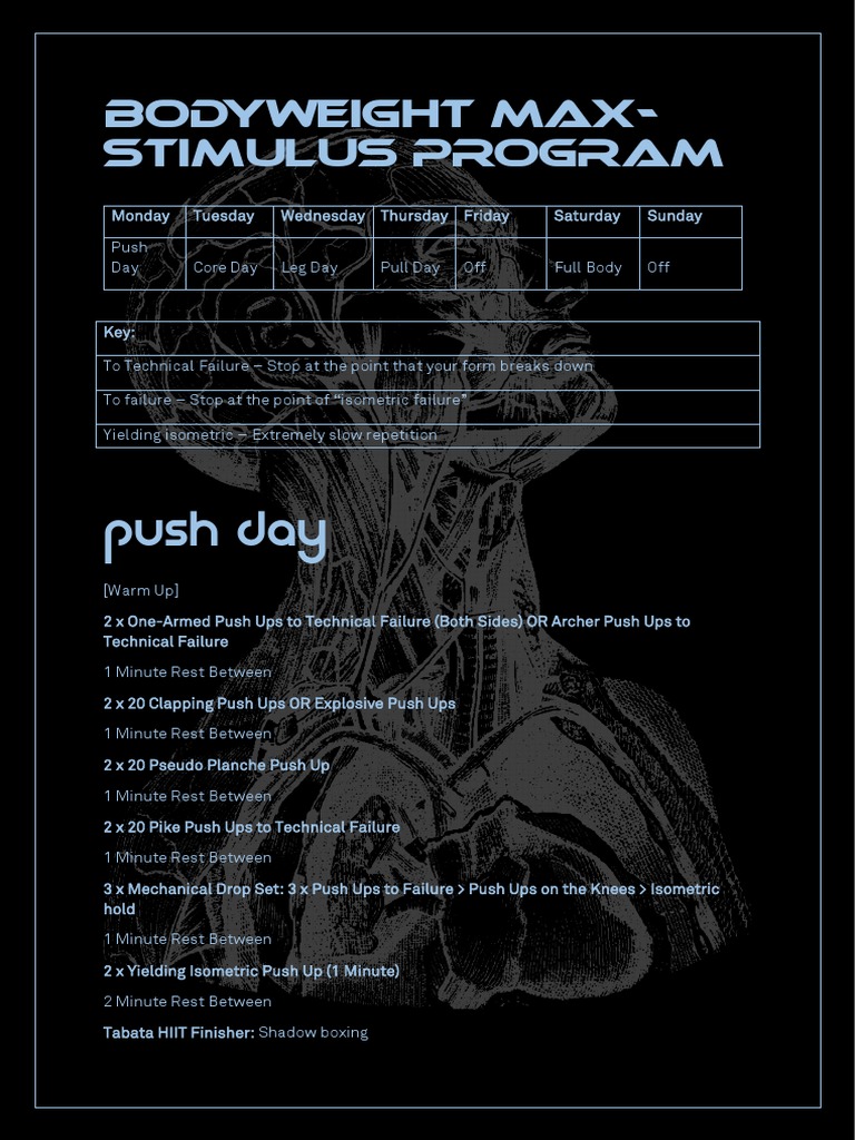 Push Day: Bodyweight Max-Stimulus Program | PDF | Physical Exercise | Recreation