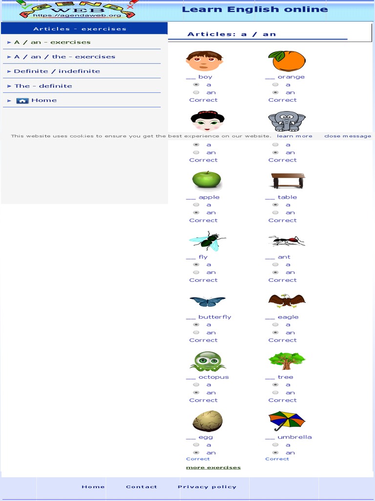 Articles - A - An - Exercises PDF | PDF