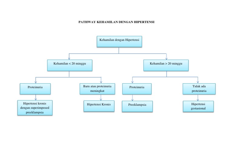 Pathway Klinis Kehamilan Dengan Hipertensi | PDF