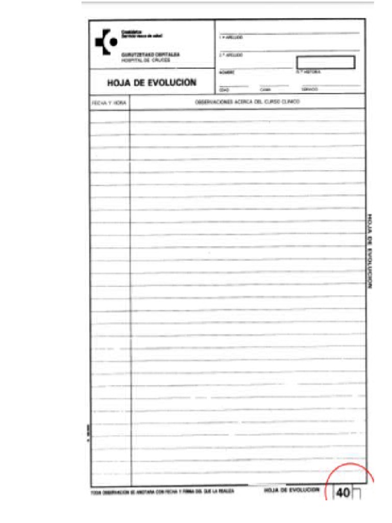 Hoja de Evolucion Medica | PDF