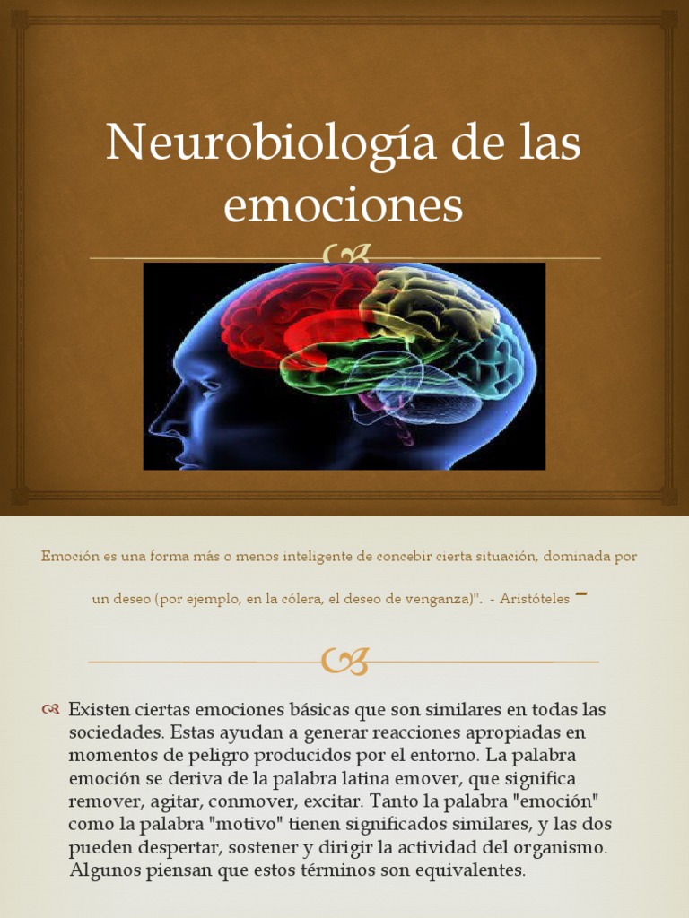 Neurobiología De Las Emociones Pdf Ira Las Emociones