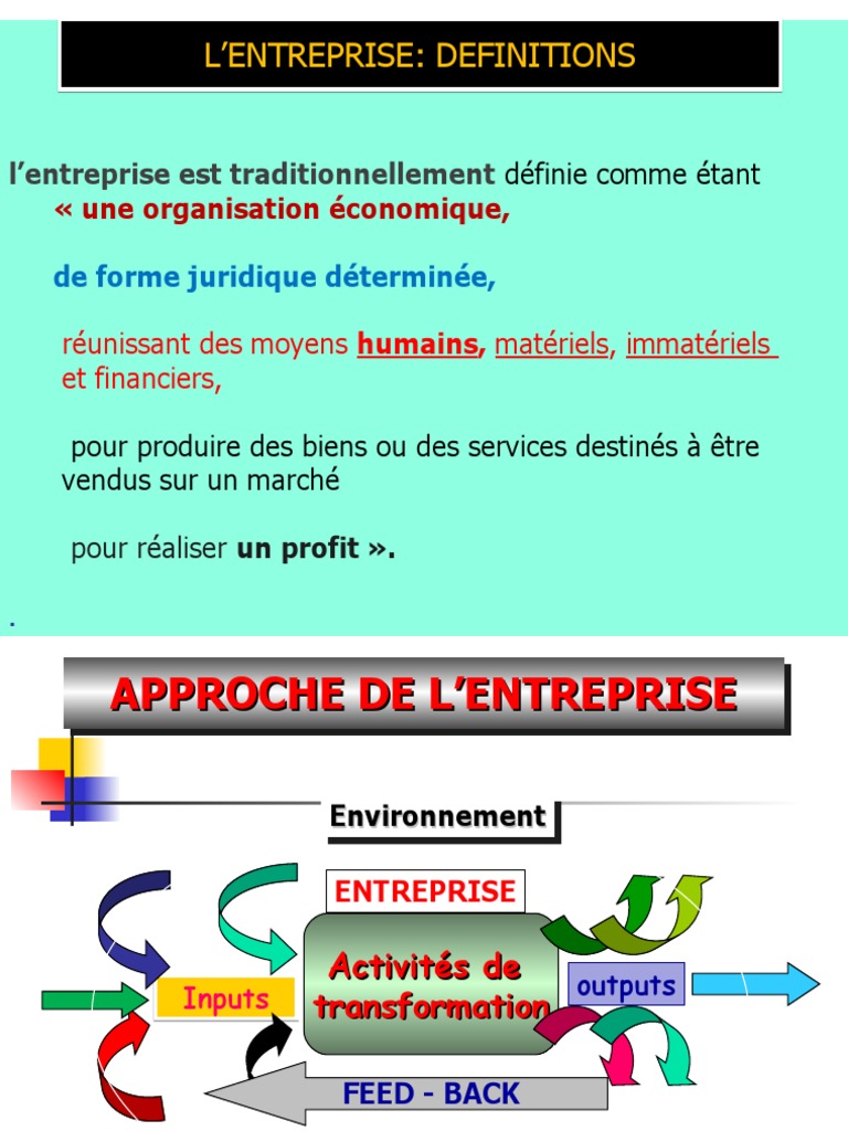 Entreprie Sonelgaz | PDF | Réseau électrique | Audit