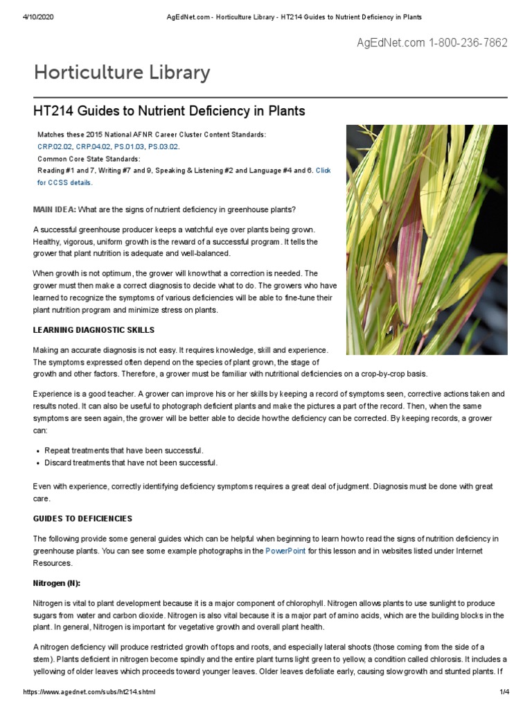 Guides To Nutrient Deficiency in Plants | PDF | Plant Nutrition | Leaf