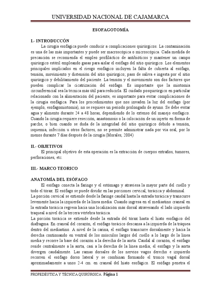 Técnicas y Cuidados en Esofagotomía | PDF | Esófago | Abdomen