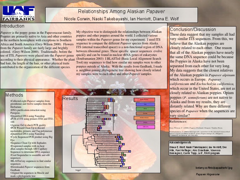 RAHI 2008 Nicole Corwin Poster | PDF | Polymerase Chain Reaction ...
