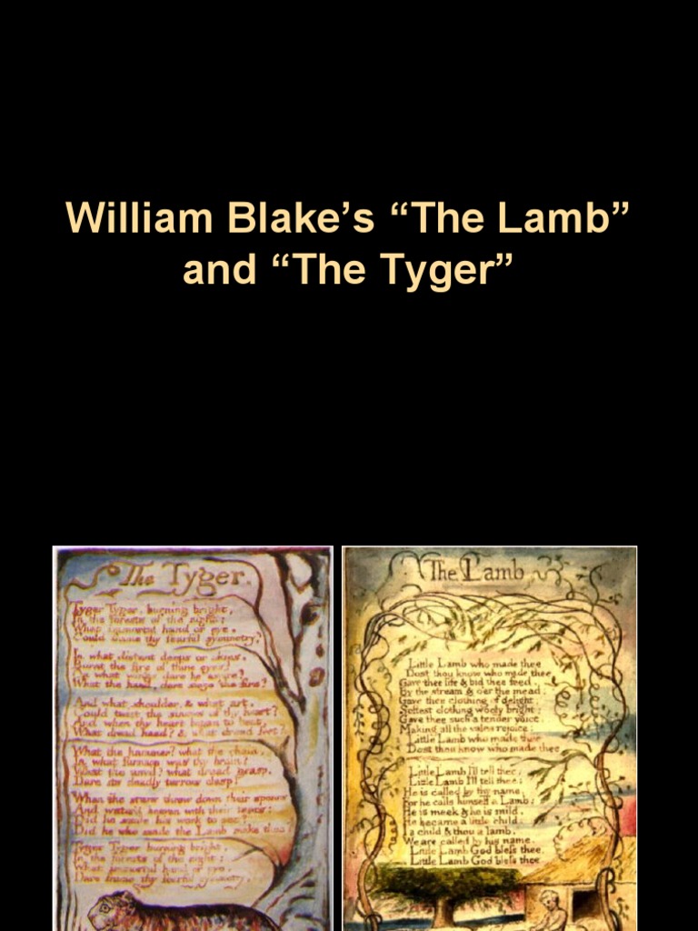 The Lamb Vs The Tyger | PDF | Religious Belief And Doctrine