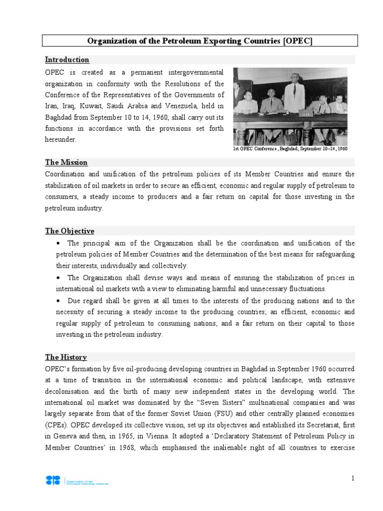 Assignment OPEC | PDF | Opec | 1973 Oil Crisis