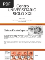 Test de Capurro | PDF