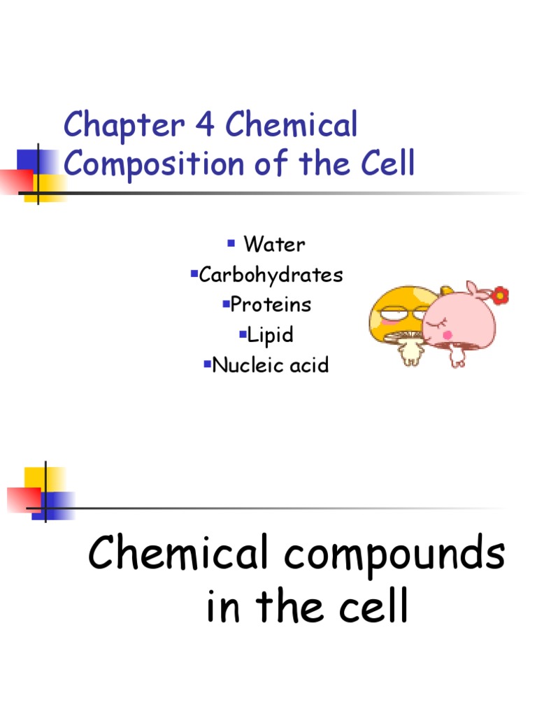 Chapter 4 Chemical Composition of The Cell: Water Carbohydrates ...