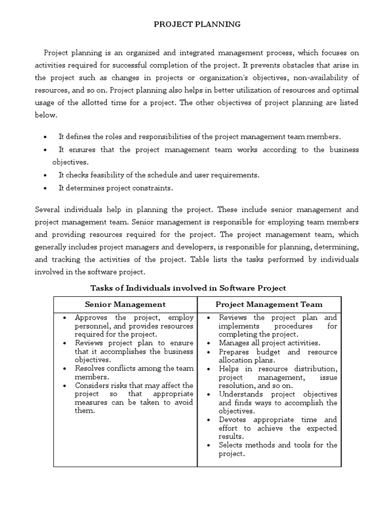 Project Planning Essentials | PDF | Project Management | Risk