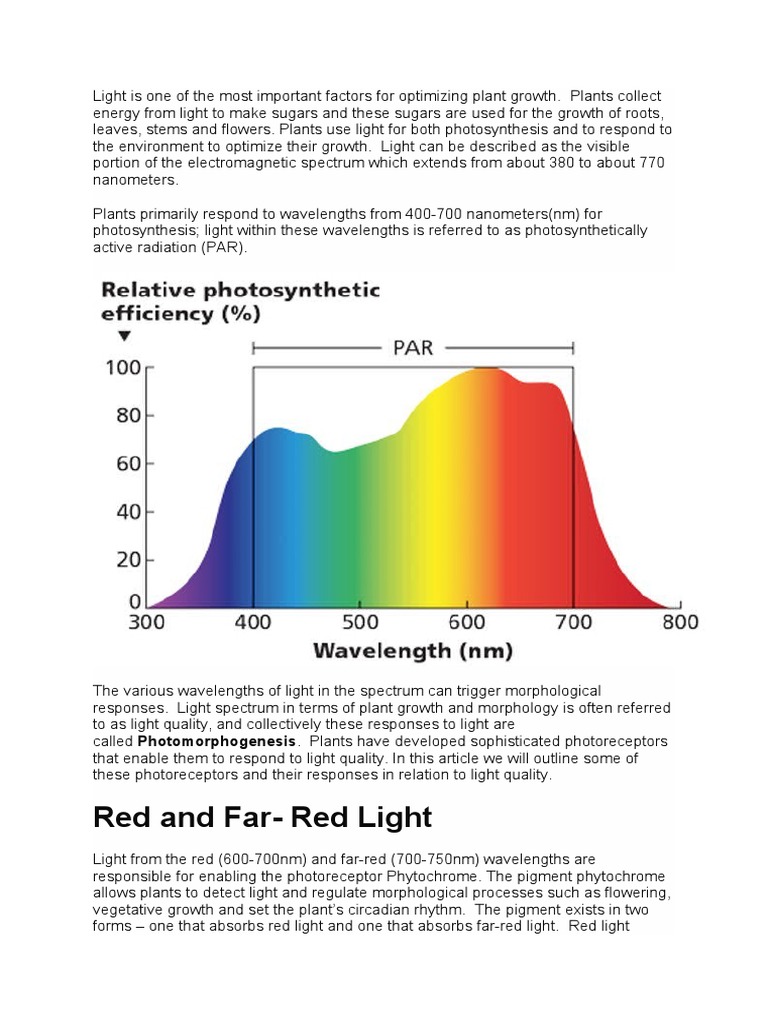 role of spectrum | Electromagnetic Spectrum | Plants
