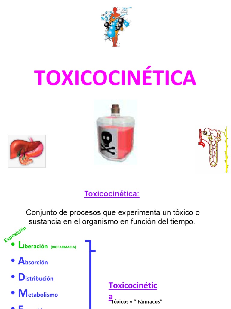 Toxicocinetica y Dinamia (Sol) PDF | PDF | Receptor Antagonista ...