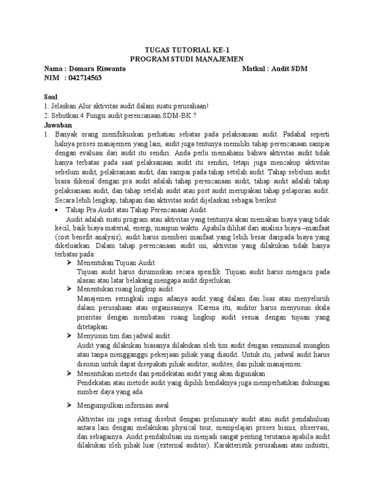 Jawaban TUGAS 1 Audit SDM | PDF | Bisnis | Karier & Perkembangan