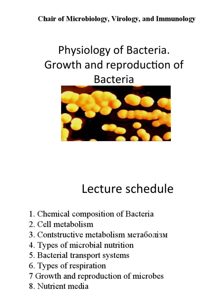 Physiology of Bacteria | PDF | Molecular Cloning | Plasmid